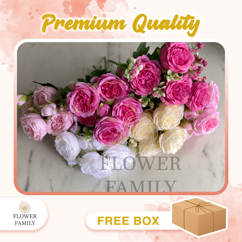 Jual Flower Family - [5 Tangkai] Bunga Peony Duchess Premium / Bunga ...