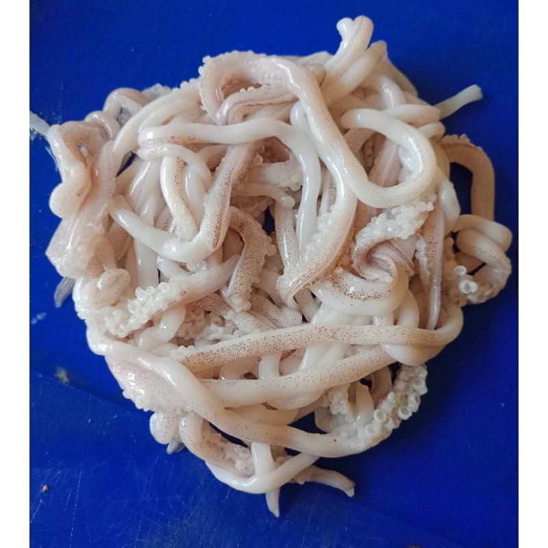 Jual SUNGUT CUMI SEGAR 1KG | Shopee Indonesia