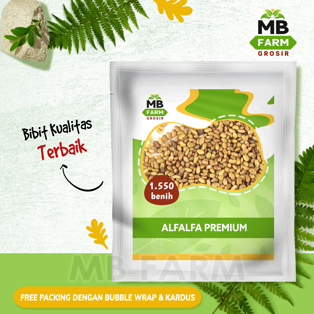 Jual Benih alfalfa super 1550 Biji original MB FARM GROSIR / Bibit ...