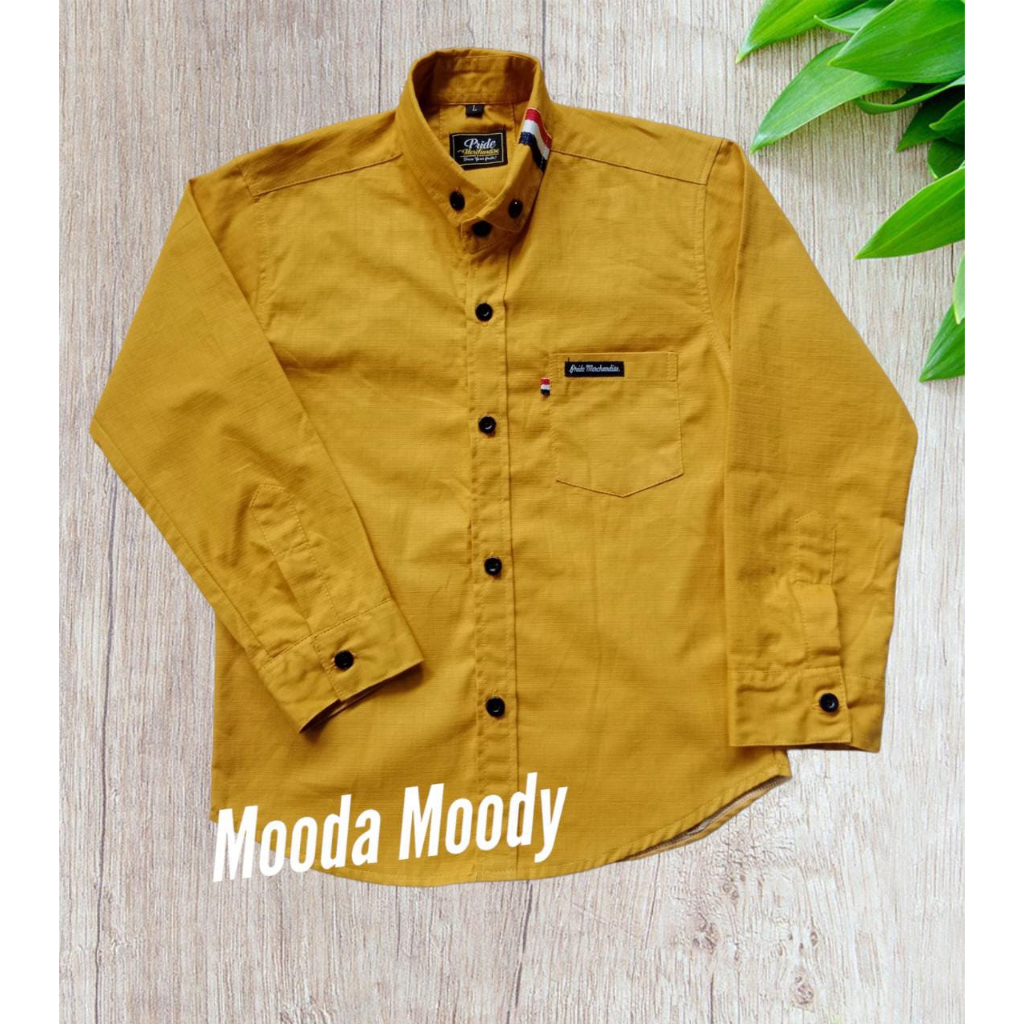 Jual Mooda Moody - Kemeja Anak Laki Laki Lengan Panjang Warna Kuning ...