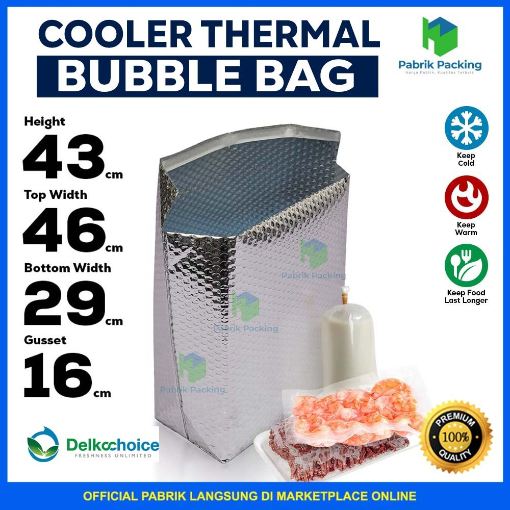 Jual Cooler thermal bubble bag insulated pouch tas cooler satuan ...
