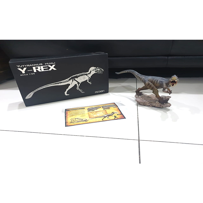 Jual REBOR Yutyrannus Huali "Y-Rex" Scale 1/35 | Shopee Indonesia