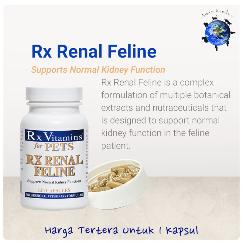 Jual RX Renal Feline Support Normal Kidney Function Untuk Kucing ...
