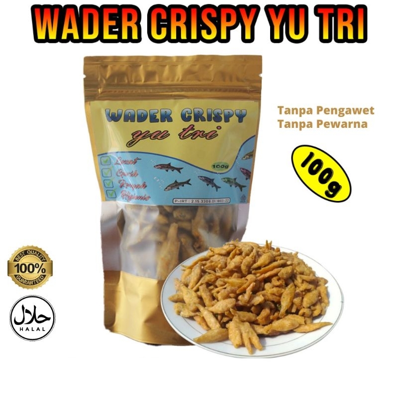 Jual WADER CRISPY IKAN SUNGAI GORENG SNACK CEMILAN MAKANAN RINGAN ...
