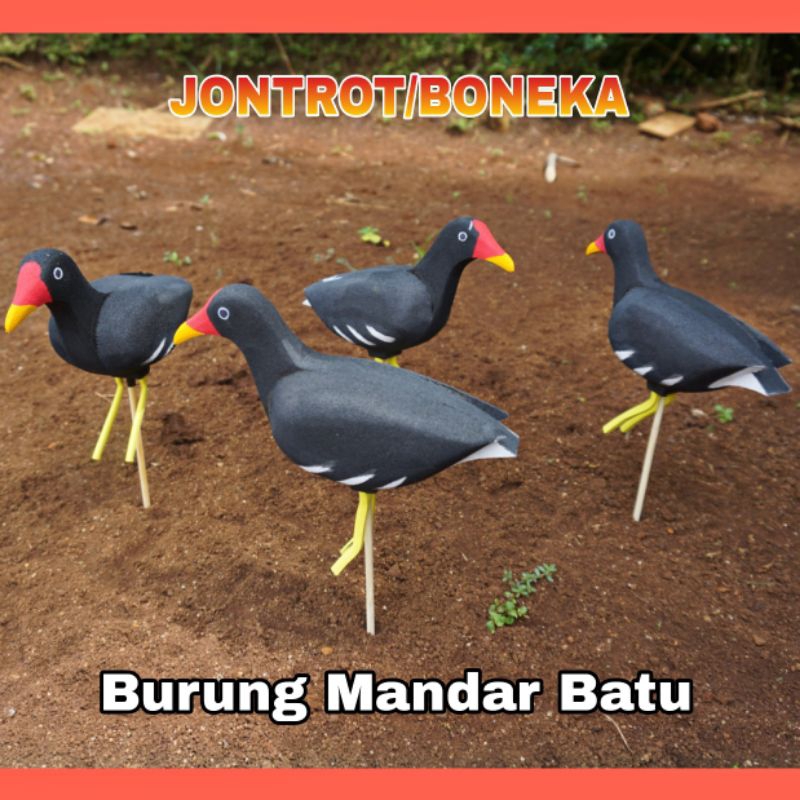 Jual Jontrot boneka patung burung mandar batu / peruk / pelan / Burung ...