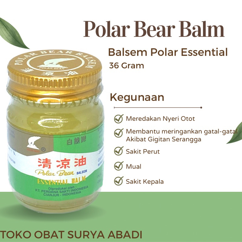 Jual Polar Bear Balsem 36gr / Balsem Polar Bear/ Balsem Beruang ...