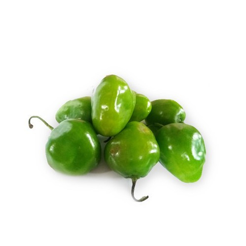 Jual Cabai Gendot Hijau 250gr Cabe Gendol Cabai Bendot 250gr | Shopee ...
