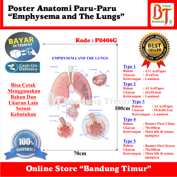 Jual POSTER ANATOMI PARU-PARU - EMPHYSEMA AND THE LUNGS | Shopee Indonesia