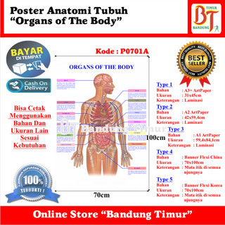 Jual POSTER ANATOMI TUBUH - ORGANS OF THE BODY | Shopee Indonesia