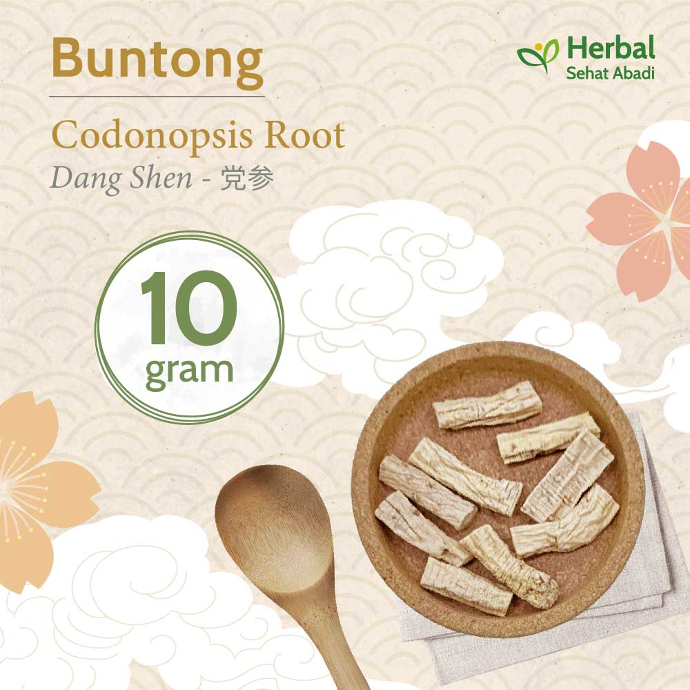 Jual Tong Sem 10 gram / Dang Shen (党参) / Tong Sim / Codonopsis Root ...