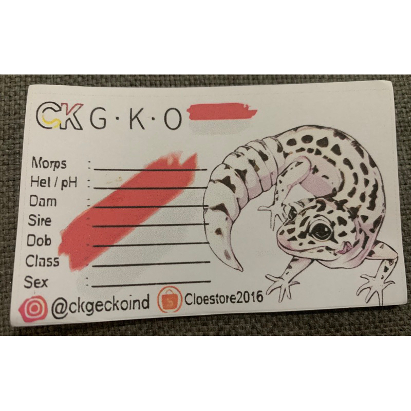 Jual LEOPARD GECKO ID / NAME TAG / LEOPARD GECKO | Shopee Indonesia