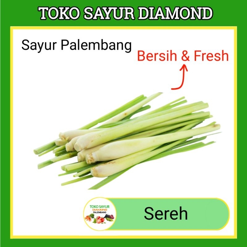 Jual Sereh Serai Per Ikat | Shopee Indonesia