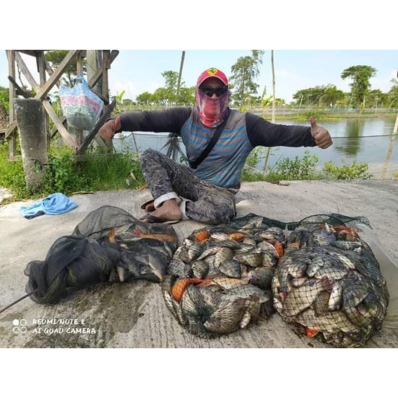 Jual Essen Cacing rambo essen khusus media cacing. target ikan mujaer ...