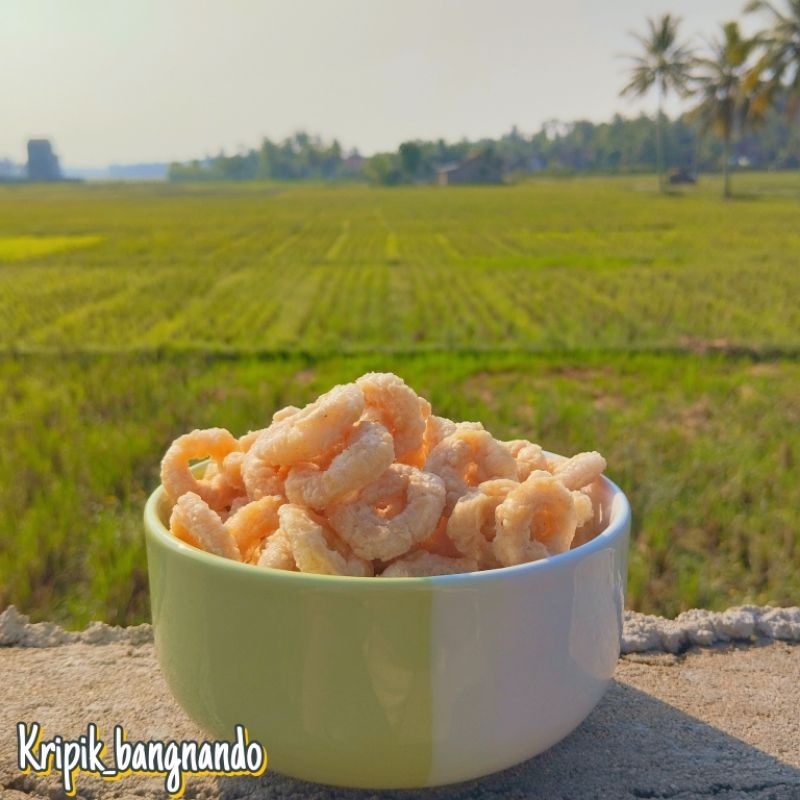 Jual Lanting udang/slondok udang 300 gram khas lampung | Shopee Indonesia