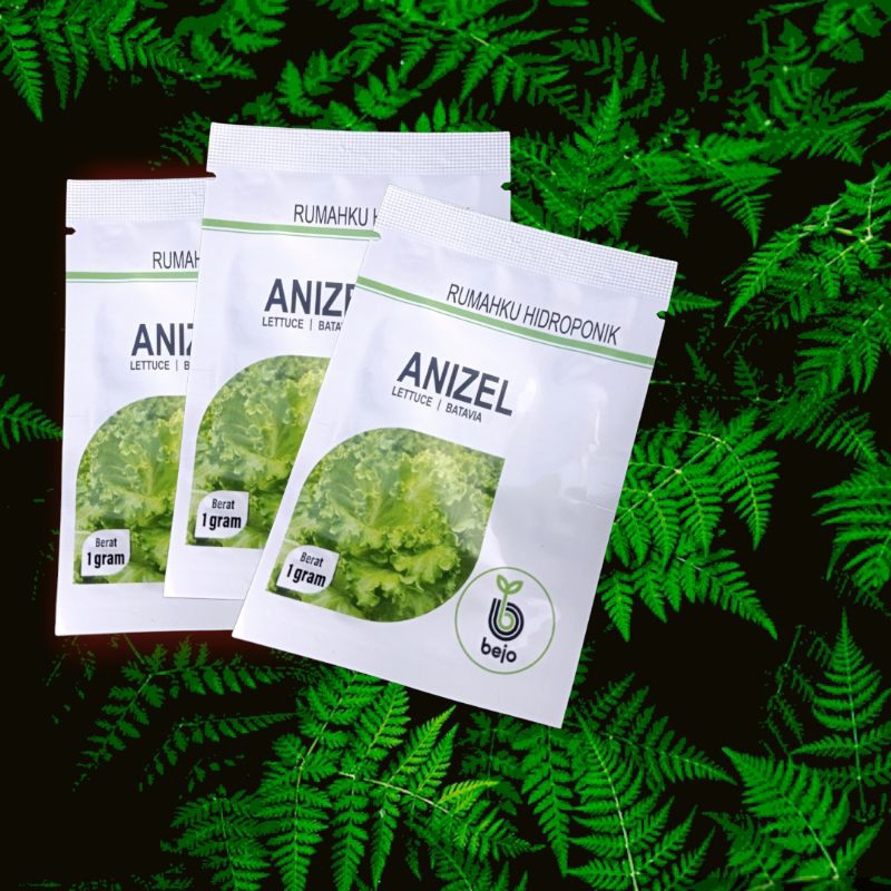 Jual BENIH SELADA BATAVIA ANIZEL | BEJO SEEDS | 1 gr | Shopee Indonesia