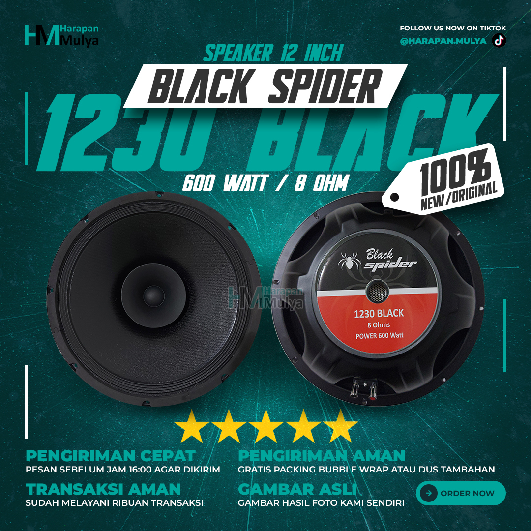 Jual Speaker Full Range 12" / Fullrange 12 inch Black Spider 1230 BLACK ...