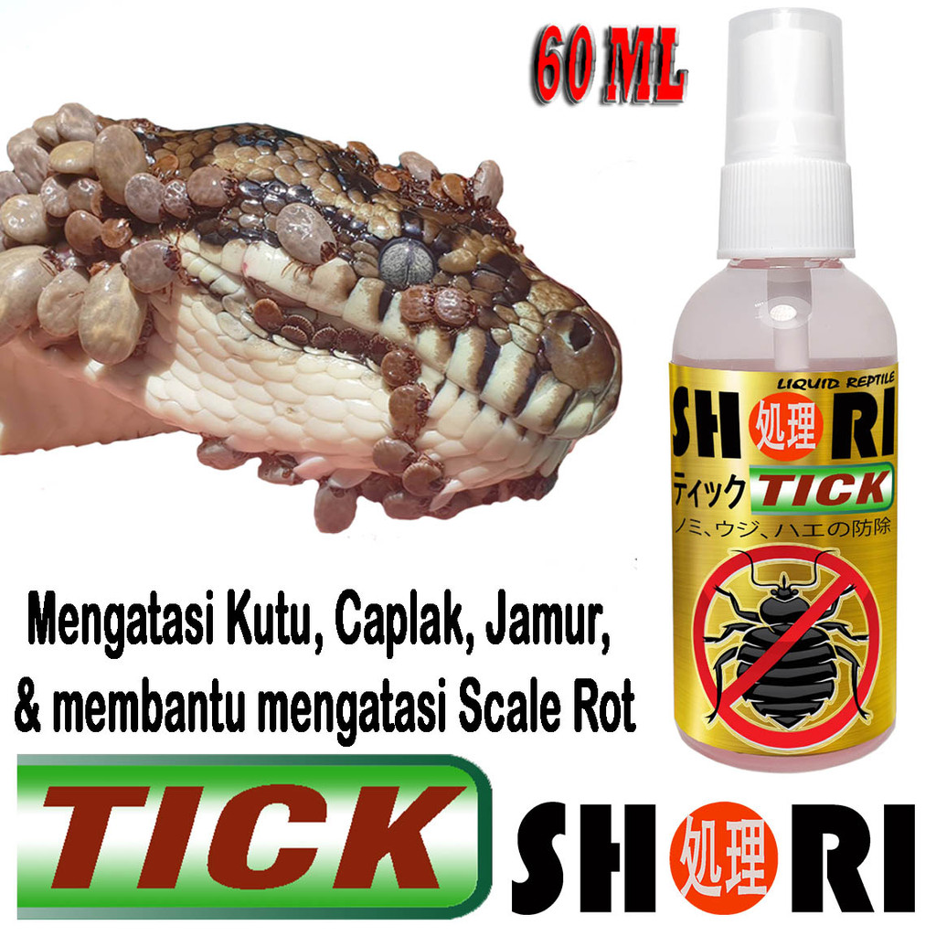 Jual SHORI TICK OBAT ANTI JAMUR SCALE ROT PARASITE KUTU CAPLAK REPTILE ...