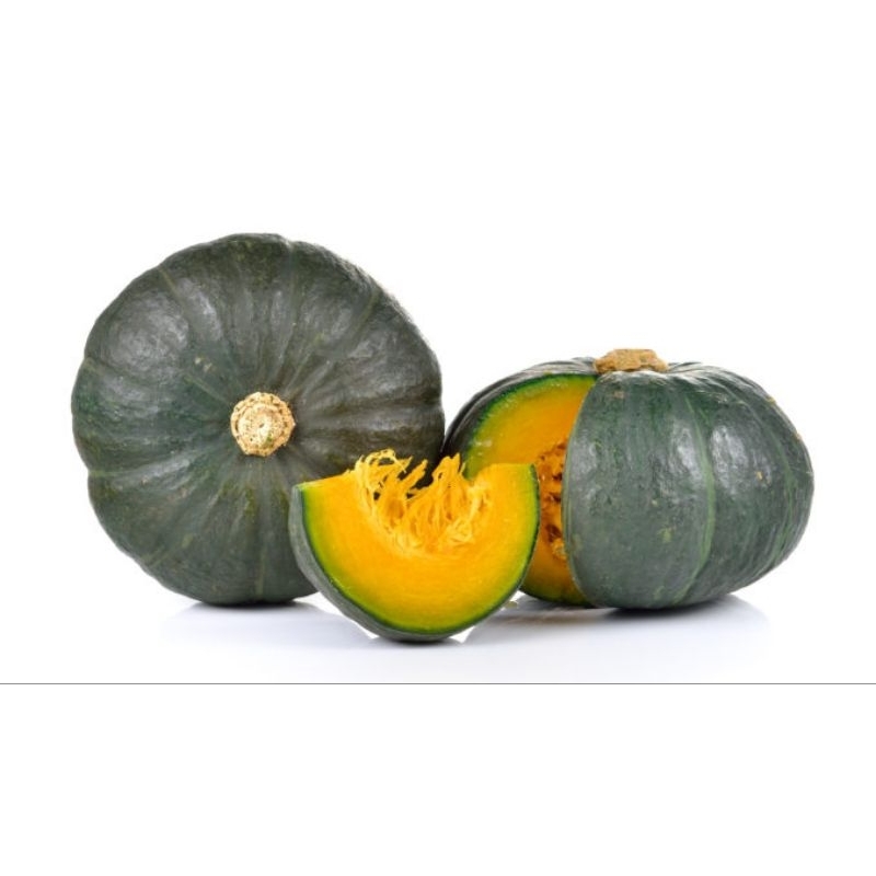 Jual Labu muda Waloh satu buah 1kg | Shopee Indonesia