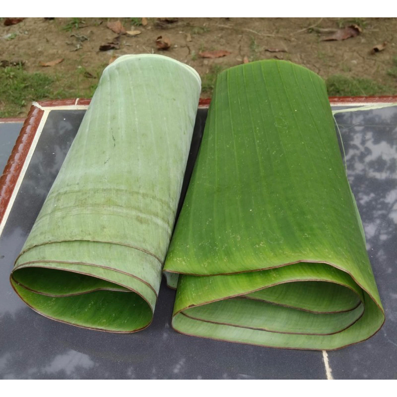 Jual Daun pisang raja khusus daun pisang raja-az | Shopee Indonesia