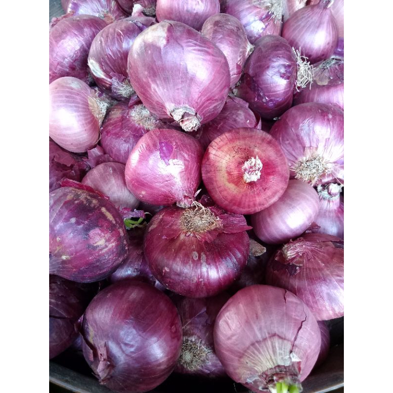 Jual bawang merah india 1kg | Shopee Indonesia