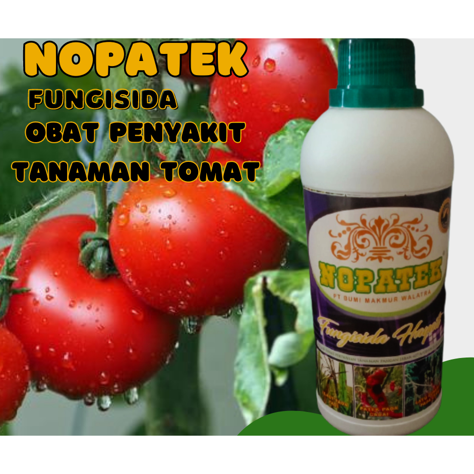 Jual fungisida nopatek obat penyakit tanaman tomat | Shopee Indonesia