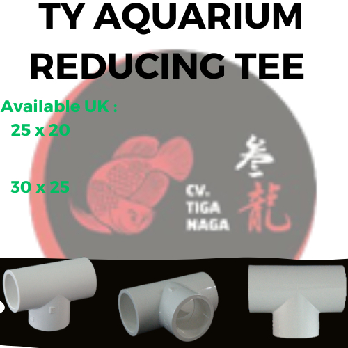 Jual TY AQUARIUM REDUCING TEE WHITE PIPA PIPE U-PVC | Shopee Indonesia