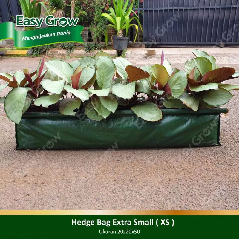 Jual HEDGE (EXTRA SMALL) PLANTER BAG EASY GROW HIJAU / PLANTER MENANAM ...