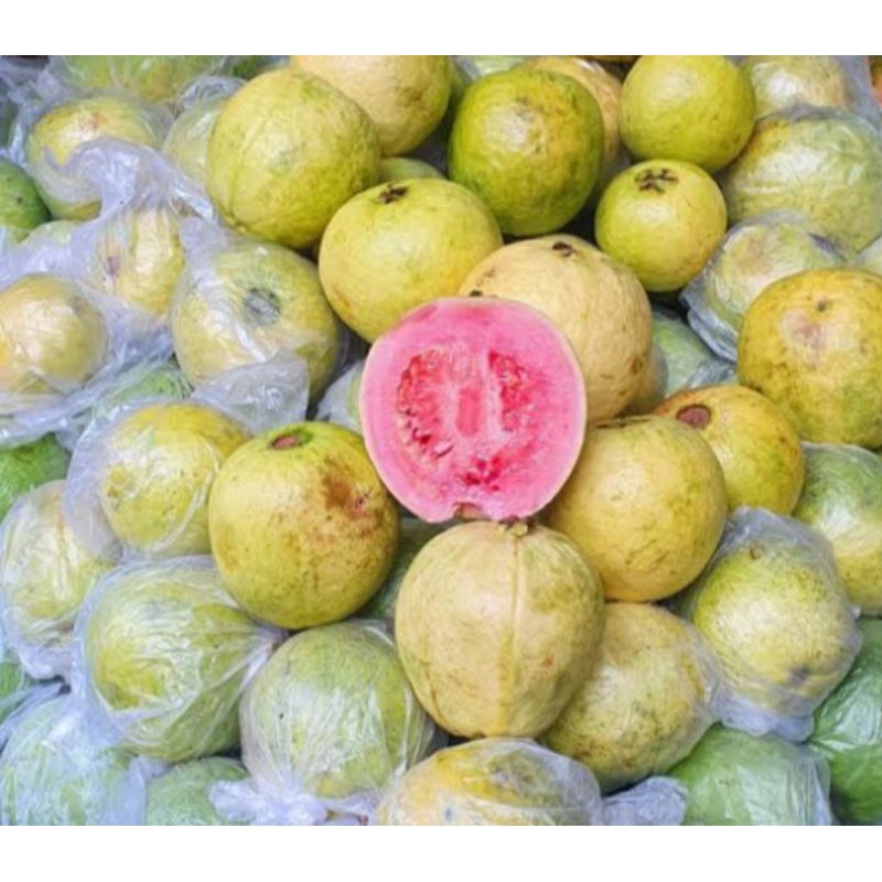 Jual Jambu biji merah 1kg | Shopee Indonesia