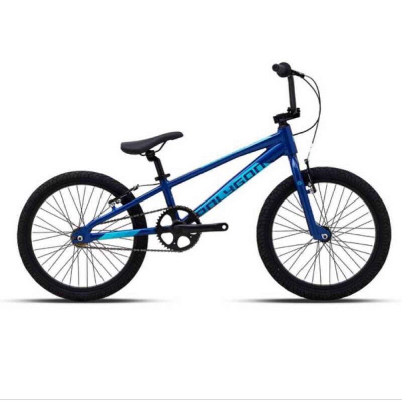 Jual Sepeda BMX Anak 20 inch Polygon Rogue | Shopee Indonesia