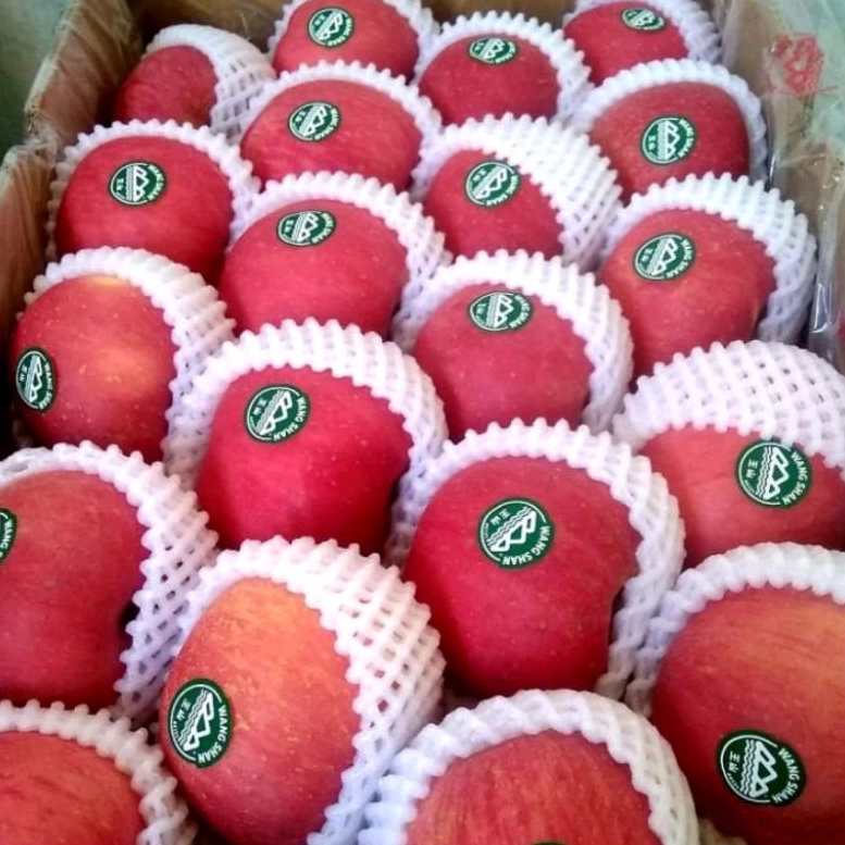 Jual Buah Apel Fuji Wang Shan Premium Fresh / 1 Dus / 13Kg | Shopee ...
