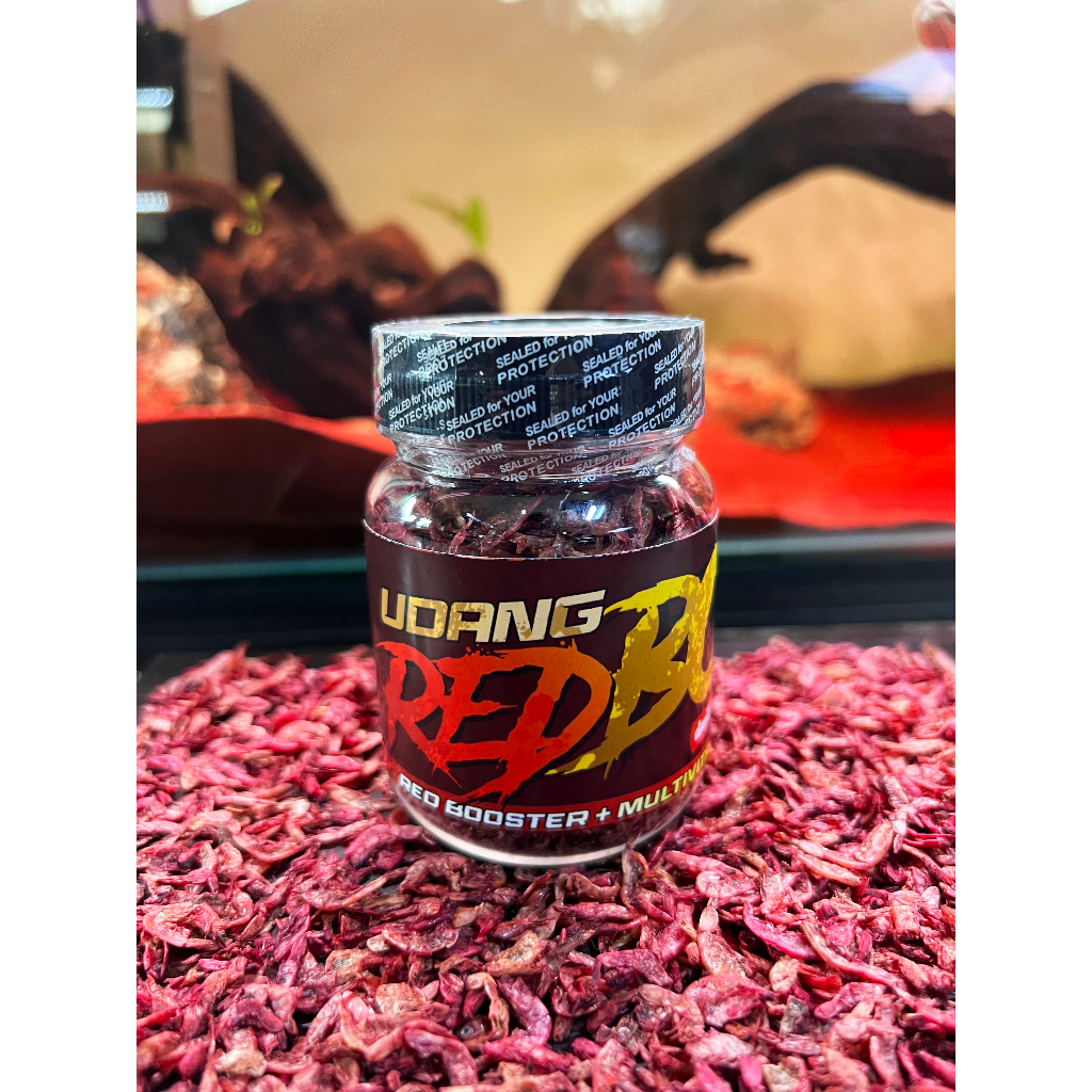 Jual UDANG RED BOS DAILY (MERAH) // WARNA DASAR PIGMEN YELLOW & RED ...
