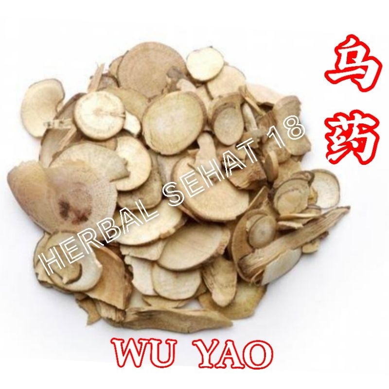 Jual [300gram] Wu Yao / U Yao - Radix Linderae Strychnifoliae | Shopee Indonesia
