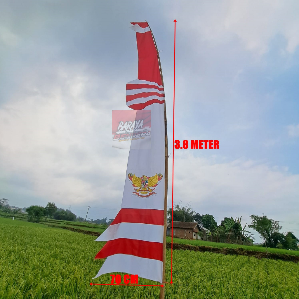 Jual BENDERA UMBUL - UMBUL BANDIR INDOSIAR JUMBO | Shopee Indonesia