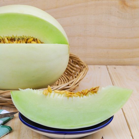 Jual Melon Pcs | Shopee Indonesia