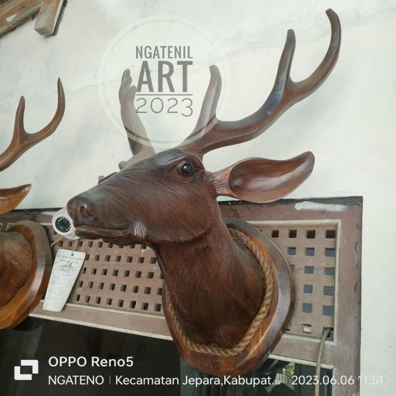Jual kepala rusa | Shopee Indonesia