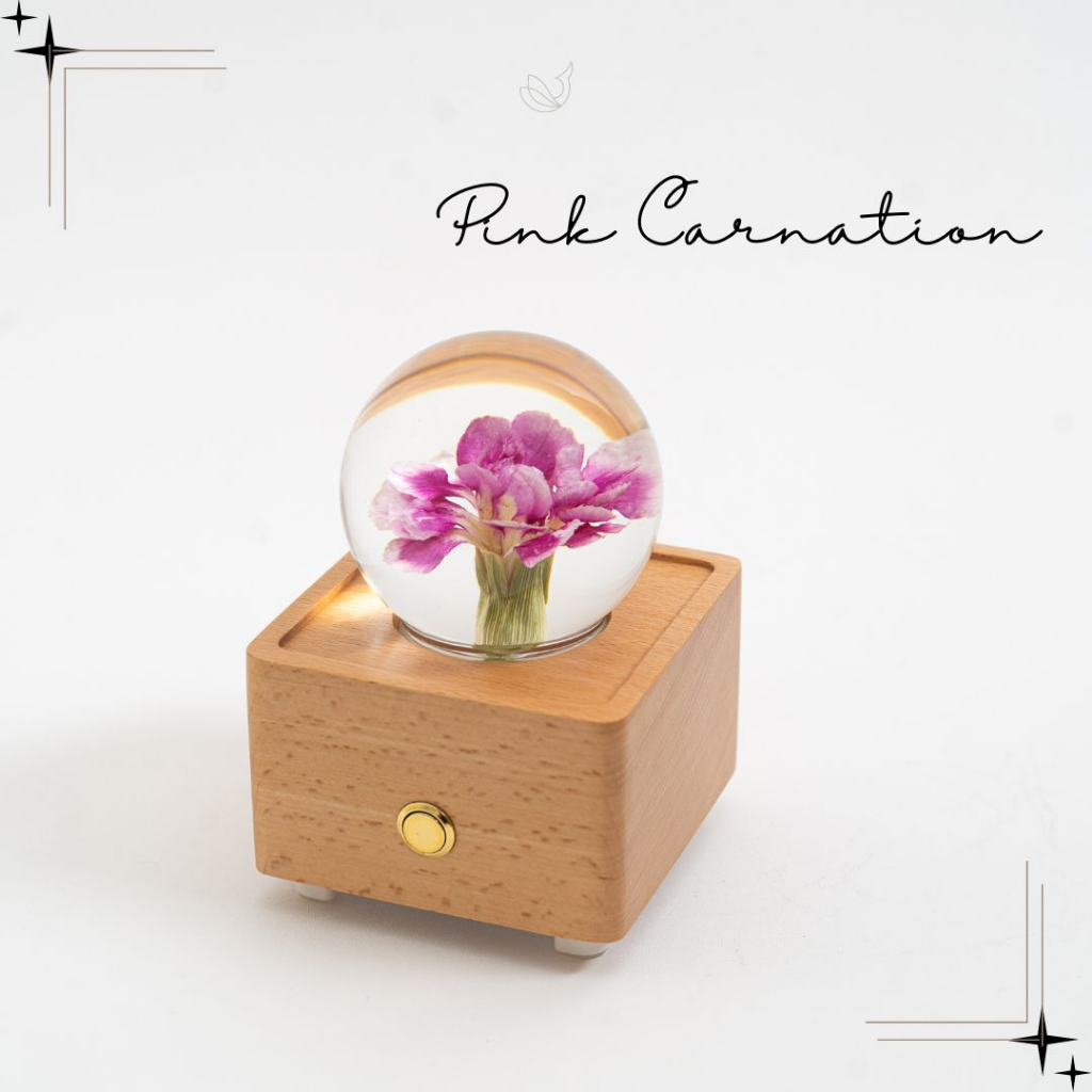 Jual Everlasting Flower / Pink Carnation / Night Light / Flower Light ...