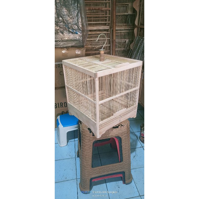 Jual sangkar kandang penjinakan wambi murmer | Shopee Indonesia Jual sangkar kandang penjinakan wambi murmer | Shopee Indonesia