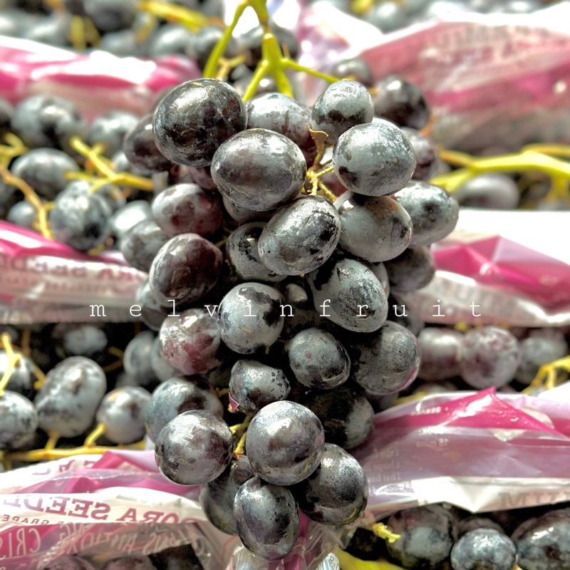 Jual Anggur Black Autum 500gr | Shopee Indonesia