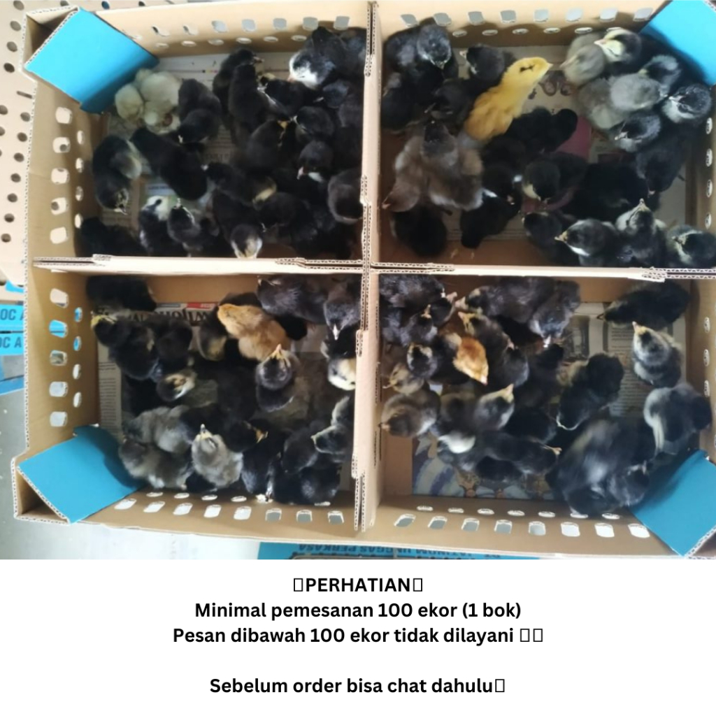Jual Jual DOC AKA untuk Wilayah Sumatra dan Sekitarnya | Shopee Indonesia