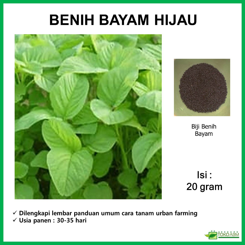 Jual Benih Bayam Hijau Kemasan Repack 20 gram - Bibit Sayuran bayam ...