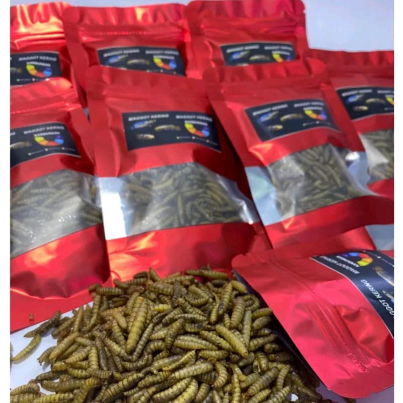 Jual MAGGOT SUPER [PAKAN SEMUA JENIS IKAN] | Shopee Indonesia