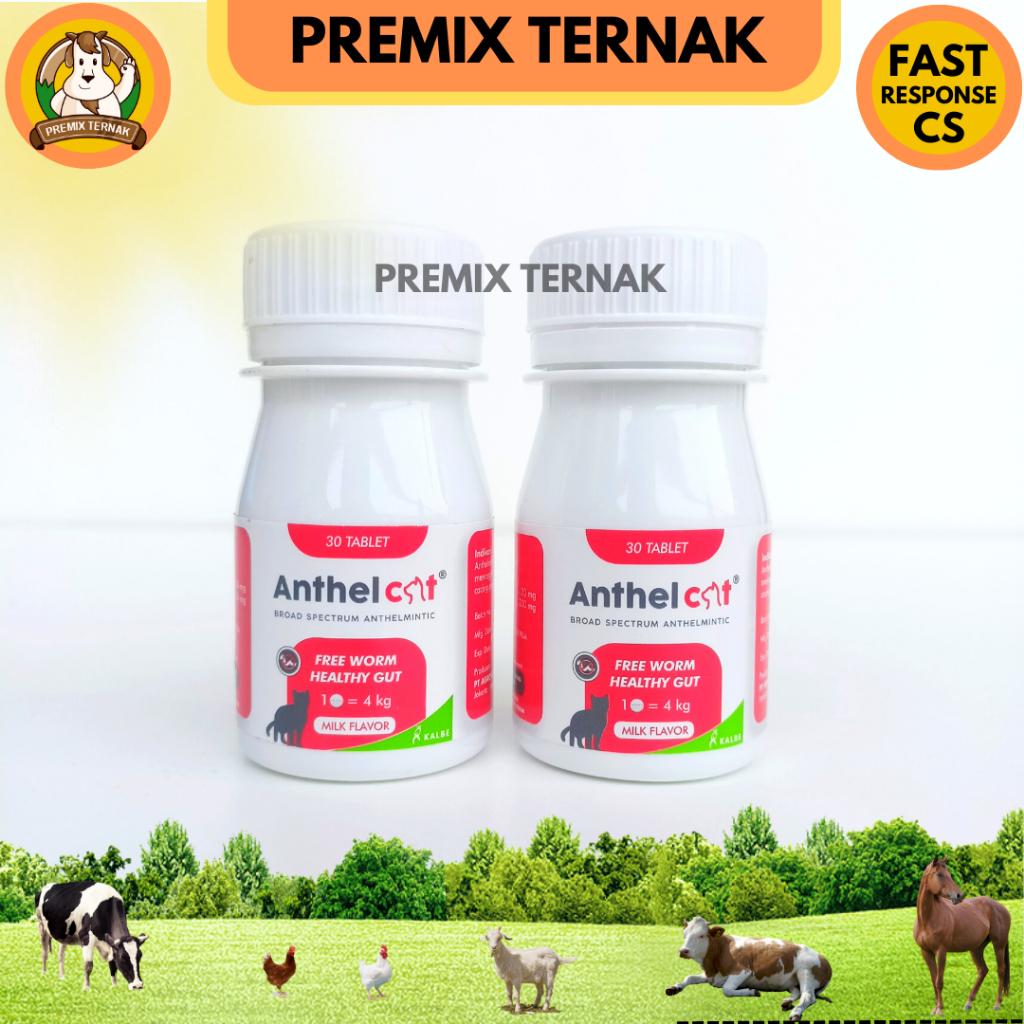 Jual ANTHEL CAT 30 TABLET (KEMASAN BOTOL) - Obat Cacing Kucing LIKE ...