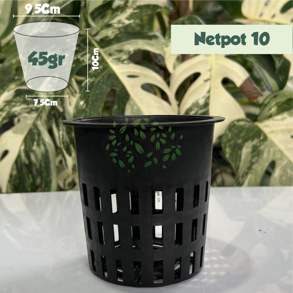 Jual Pot Anggrek Dendrobium Berbagai Macam Ukuran Pot Hidroponik Pot ...