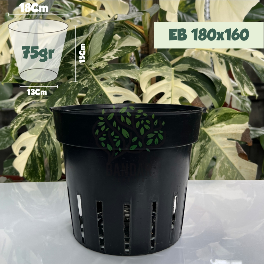 Jual Pot Anggrek EB Berbagai Macam Ukuran Warna Hitam Pot Hidroponik ...