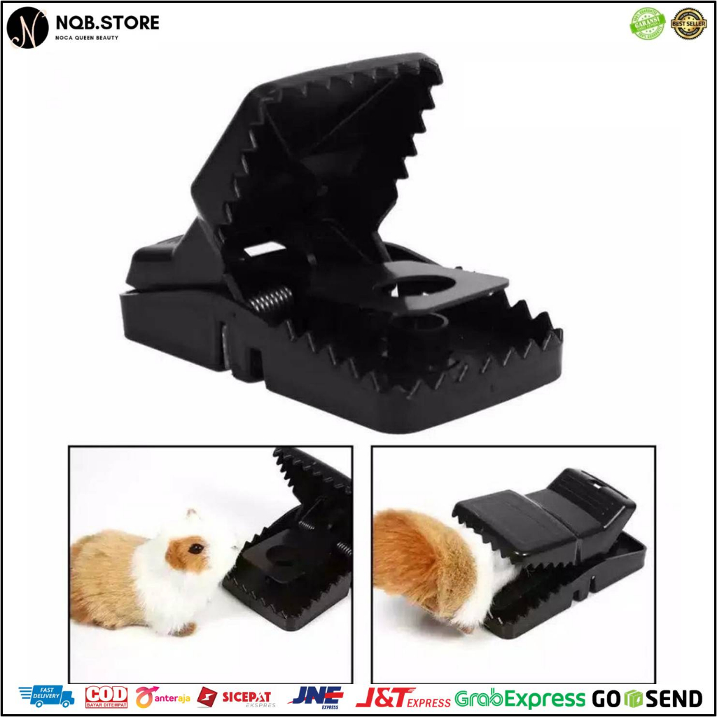 Jual Perangkap Jebakan Tikus Jepit Umpan Joni Cat Mouse Trap - Pest ...