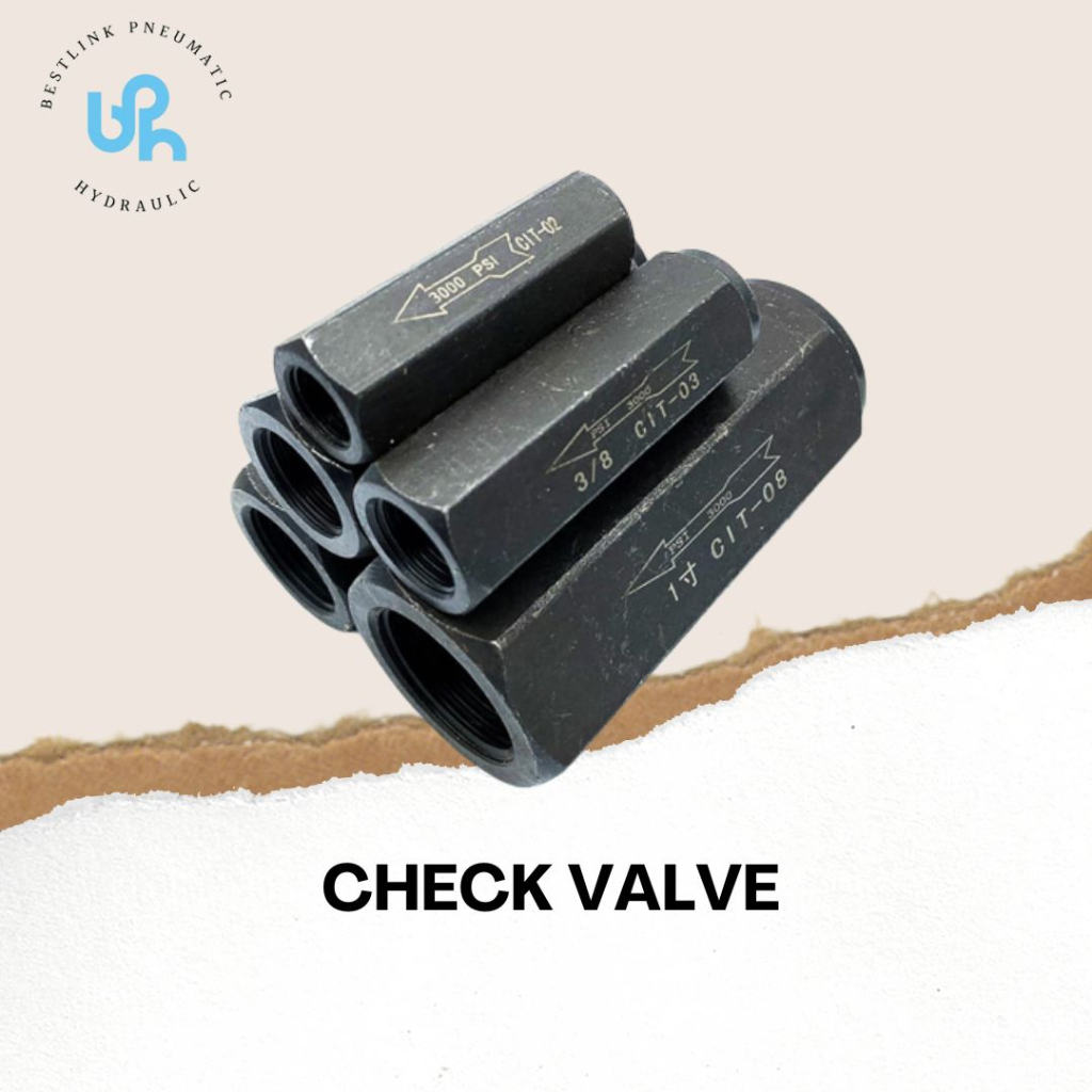 Jual CHECK VALVE HYDRAULIC ONE WAY TYPE CIT-02 / CIT-03 / CIT-04 / CIT | Shopee Indonesia