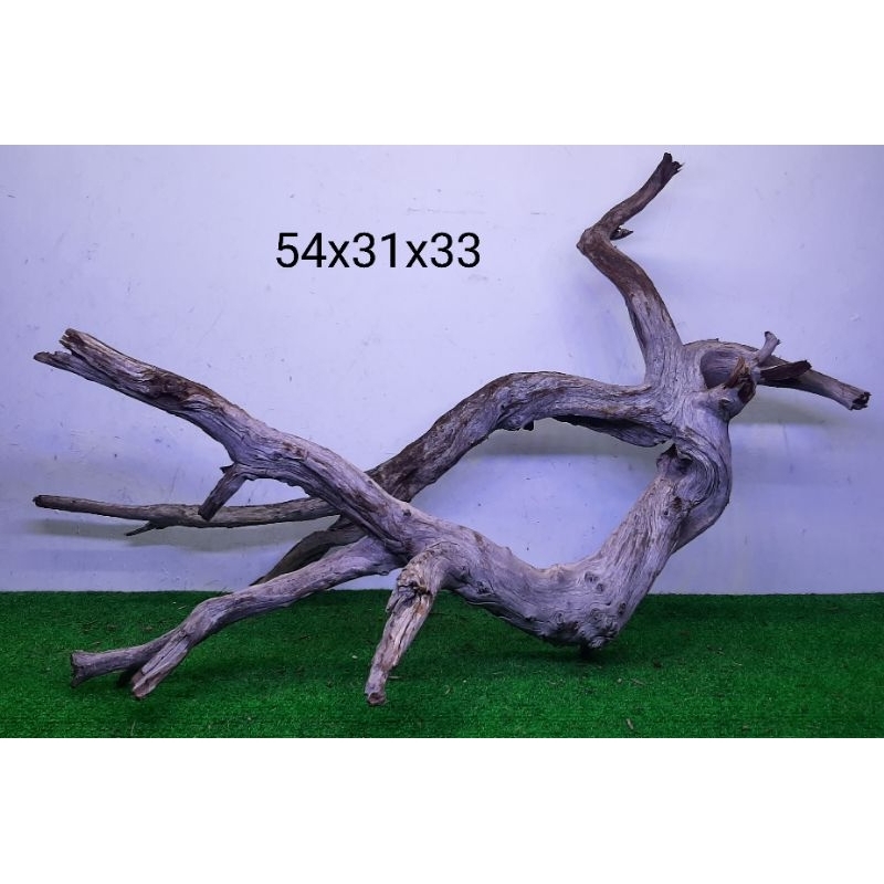 Jual Kayu Santigi Laut - Kayu Tenggelam - Aquascape - Channa - 54x31x33 ...