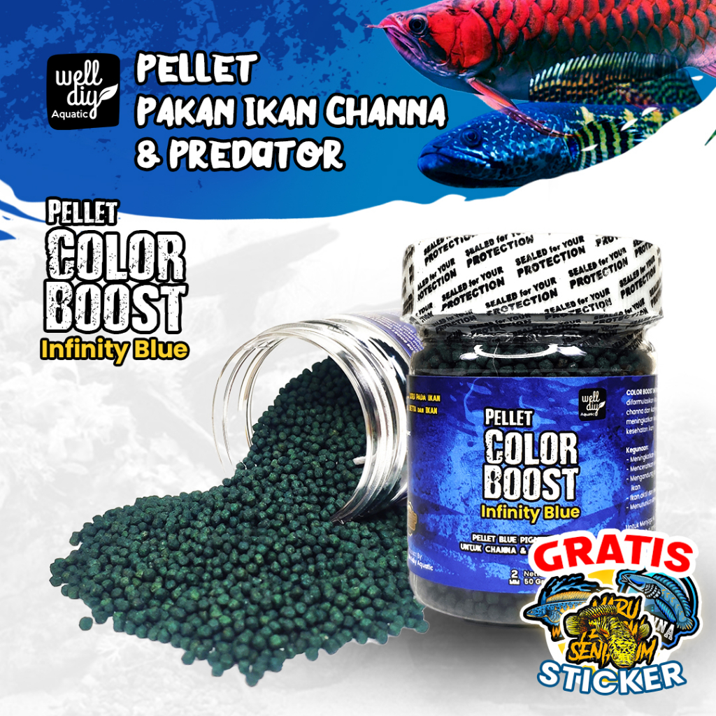 Jual Pelet Ikan Channa Pakan Chana Blue Pulcra Carophyll COLOR BOOSTER ...