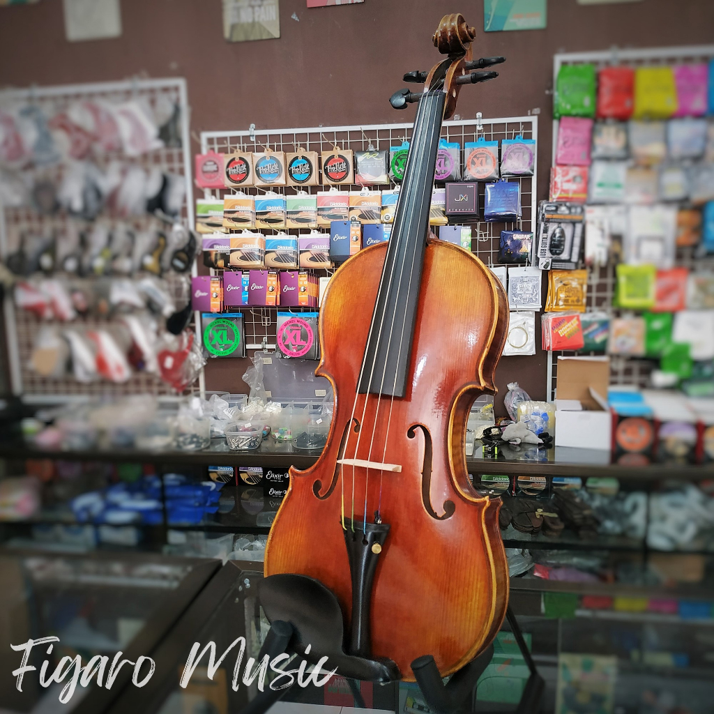 Jual Biola / Violin Roderich Paesold, 4/4 Model PA401E, Germany ...