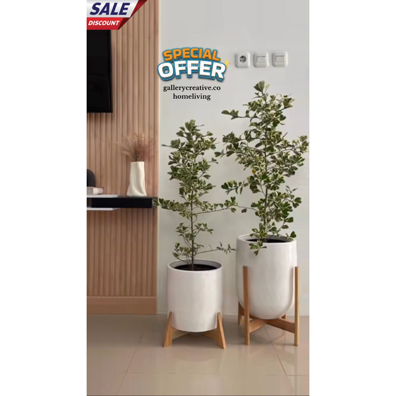 Jual pot concrete - vas bunga aesthetic ruang tamu- pot indor free ...